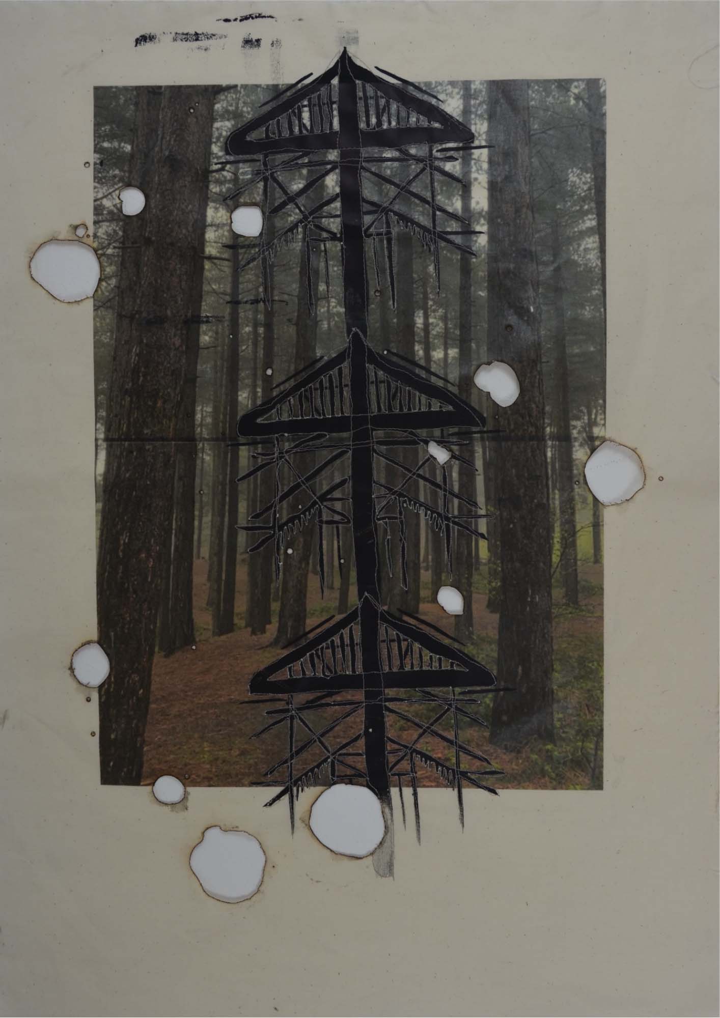 Foundation Level 4 - Nathaniel Ball | Southport College